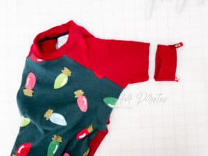 2022 Holiday Freebies :: Doggone Raglan - Patterns for Pirates